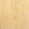 Mosaic Backer Boards